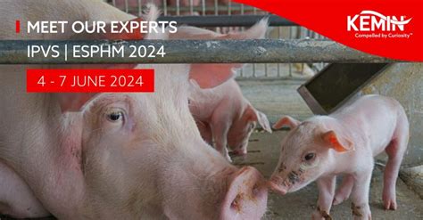 Zapraszamy Do Odwiedzin Hall 2 Marcin Maj