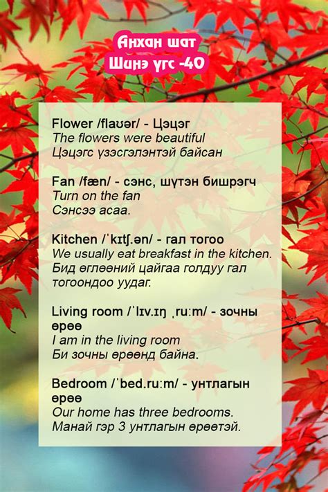 Өнөөдрийн цээжлэх 10 шинэ үг Англи Хэлний Цахим Хичээл