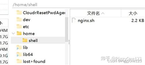 如何在linux系统中运行sh文件shell脚本以一键部署nginx为例子 知乎 如何在linux系统中运行sh文件shell脚本以一键部署nginx为例子 知乎
