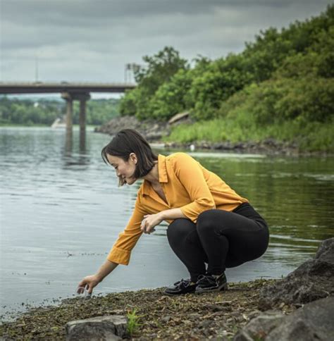 What Is Microbial Source Tracking LuminUltra