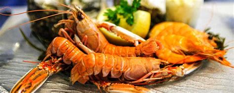 10 تا از بهترین غذاهای دریایی ترکیه از تاراما تا کاسرول میگو