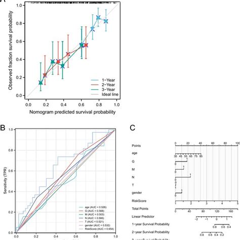 Risk Score Analysis Prognostic Performance And Survival Analysis Of Download Scientific