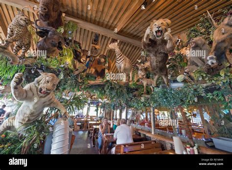 Clarks Fish Camp Is A Unique And Rustic Seafood Restaurant Located On