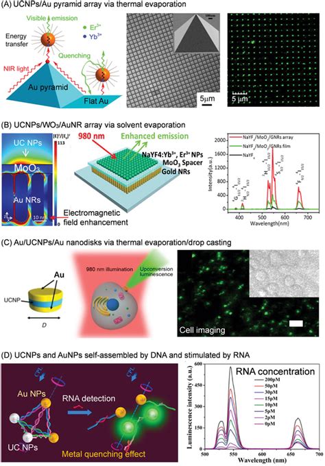 Metal Enhancedquenched Upconversion Luminescence A The Enhancement