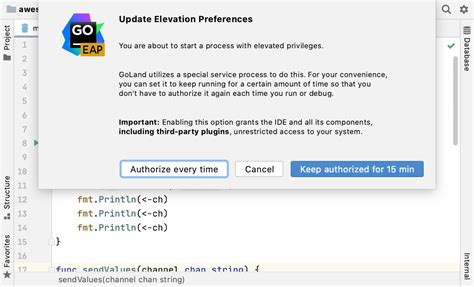 Running Applications With Elevated Privileges Goland Documentation