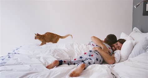 가족 아침 포옹과 아빠와 아들과의 사랑은 특별한 유대감을 나누면서 행복하고 안전하며 안전하다고 느낍니다 사랑하는 남자와 소년 아이가 잠옷으로 침대에 누워 아버지의 날을