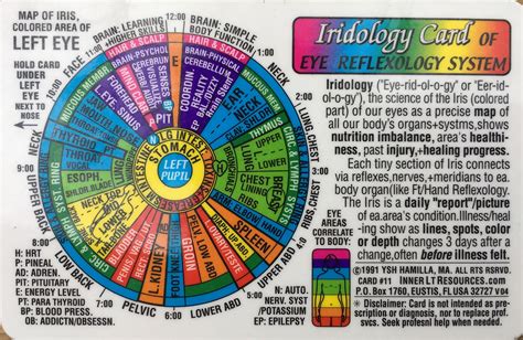 Eye Reflexology System Wallet Chart