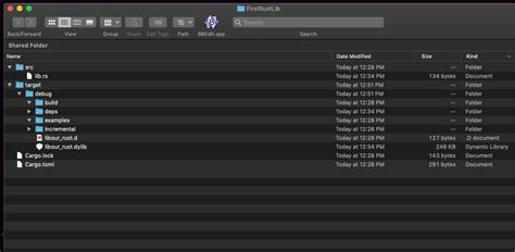 Creating A Rust Dylib We Can Call From Xojo Writings From The Sticks