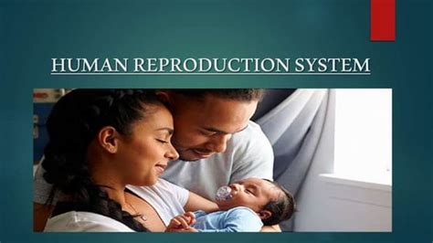 Human Reproduction Pptx Class Xii Biology Pptx Infertility Reproductive Health