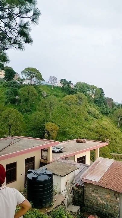 Kasuli Hills Youtubeshort Beautiful View Trending Touristplace Youtube