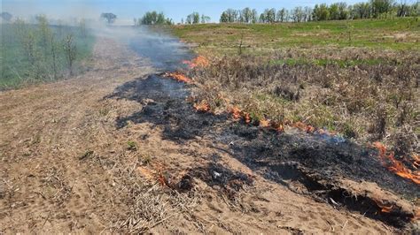 Switchgrass Prep The Year Prior To Planting Youtube