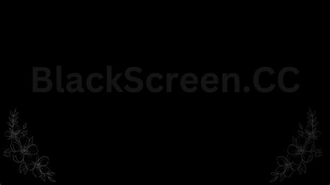 Black Screen