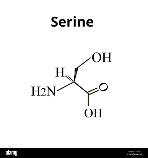 Serine Structure