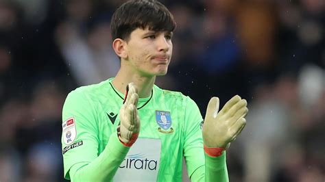 James Beadle Sheffield Wednesday Re Sign Brighton Keeper On Loan Bbc