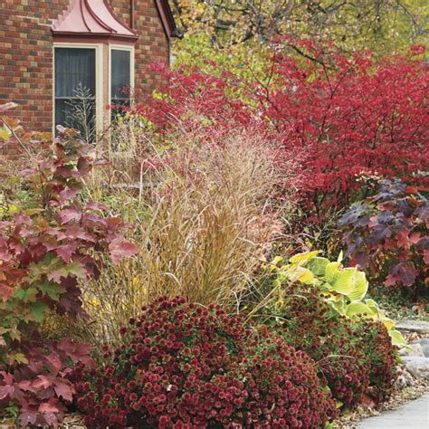 How To Grow Switchgrass Garden Gate