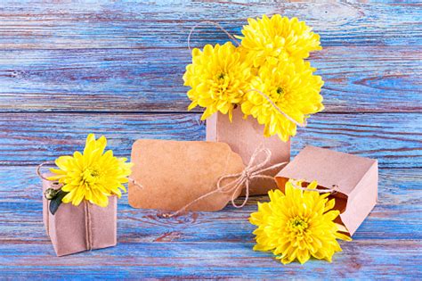 선물과 인사말 텍스트 선택적 초점을 위한 공간이 있는 국화의 노란색 꽃 0명에 대한 스톡 사진 및 기타 이미지 0명 10월 가을 Istock