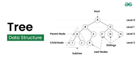 Tree Dalam Python Praktikum Struktur Data Week 09 By Fijrisalwa