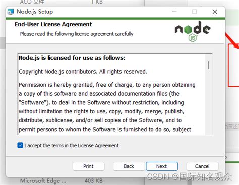 Win11下vue环境搭建（脚手架初始化项目启动）教程（详解多图）win11配置vue Cli Csdn博客