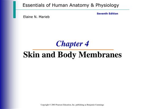 SOLUTION Chapter Integumentary System Studypool