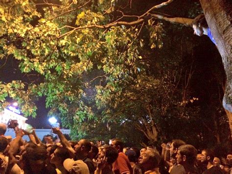 ვაკის პარკში ბილეთების რიგის გამო ქომაგებს შორის ფიზიკური დაპირისპირება მოხდა [ვიდეო