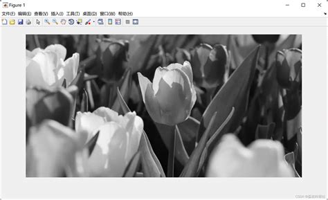 基于多尺度形态学梯度进行边缘检测(matlab代码实现) Csdn博客 基于多尺度形态学梯度进行边缘检测(matlab代码实现) Csdn博客