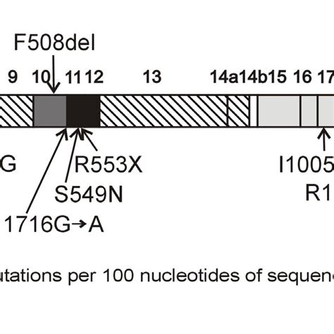 Schematic Illustration Of The Different Classes Of Cftr Mutations Download Scientific Diagram