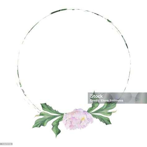 손으로 그린 섬세한 분홍색 모란 꽃 새싹 및 나뭇잎이있는 수채화 원형 프레임 배열 흰색 배경에 고립되어 있습니다 초대장 결혼식 사랑 또는 인사말 카드 종이 인쇄물 섬유 개체