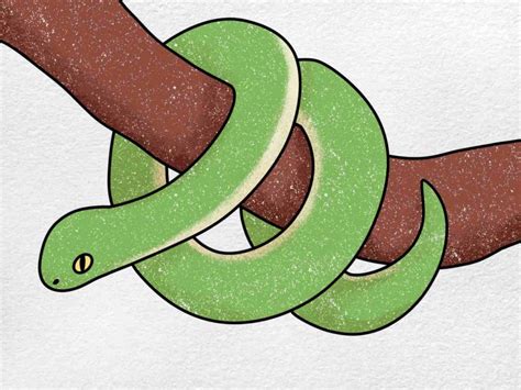 How To Draw A Python Helloartsy