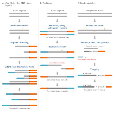 Xgen Methyl Sequencing Dna Library Prep Kit And Adaptase Idt