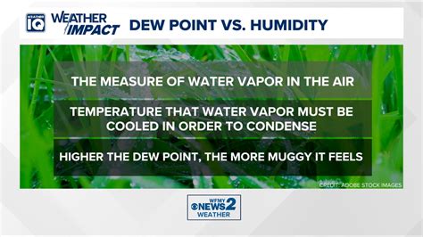 Why The Dew Point Is Better Measurement Of How Sticky The Weather
