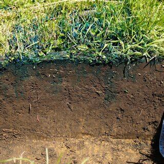 Photo Of A Cross Section Of A Typical Soil Depth Profile Download Scientific Diagram