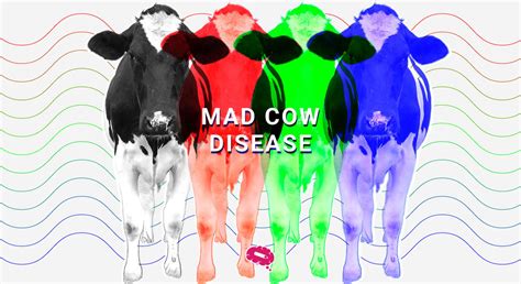 Mad Cow Disease Causes Symptoms And Prevention Mind The Graph Blog
