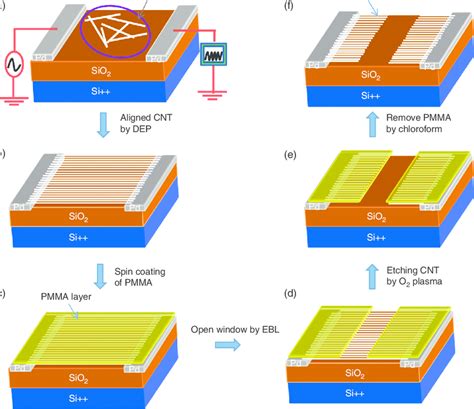 Schematic Illustration Of Carbon Nanotube Aligned Array Electrodes Download Scientific Diagram