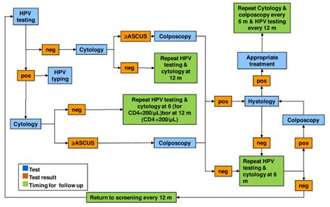 Algorithm For The Screening And Follow Up Of HIVW HIVW HIV Infected Download Scientific