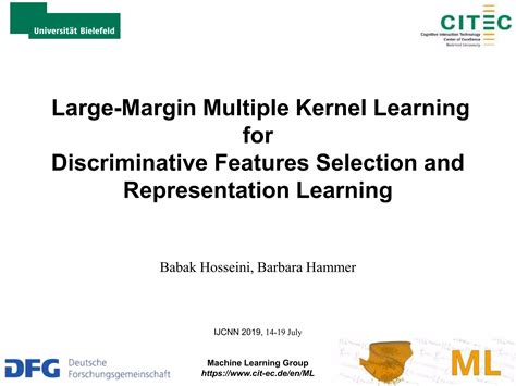 Large Margin Multiple Kernel Learning For Discriminative Features
