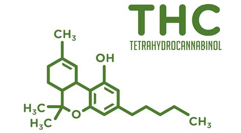 Explaining The Complexities Of The Thc Molecule Ethereal Gold Dispensary