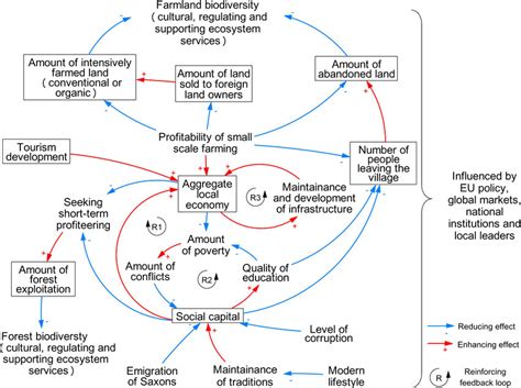 Causal Loop Diagram Template