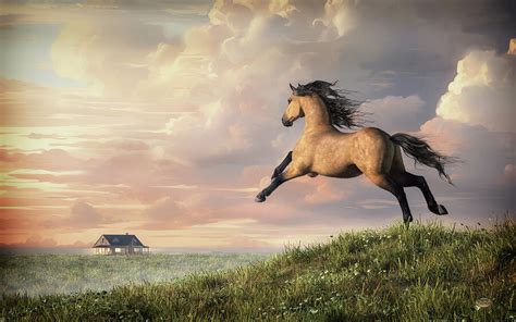 Galloping Home Digital Art By Daniel Eskridge Fine Art America