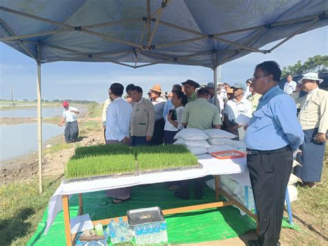 ပဲခူးတိုင်းဒေသကြီး ဝန်ကြီးချုပ် ဦးမျိုးဆွေဝင်း သနပ်ပင်မြို့နယ်အတွင်း စိုက်ပျိုးရေး၊ မွေးမြူရေးန