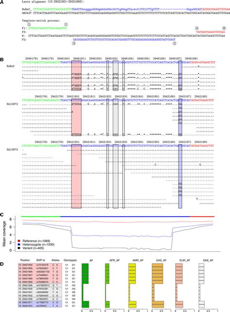 Complex Mutation Partially Called In 1kg Data A A Mutation Pattern