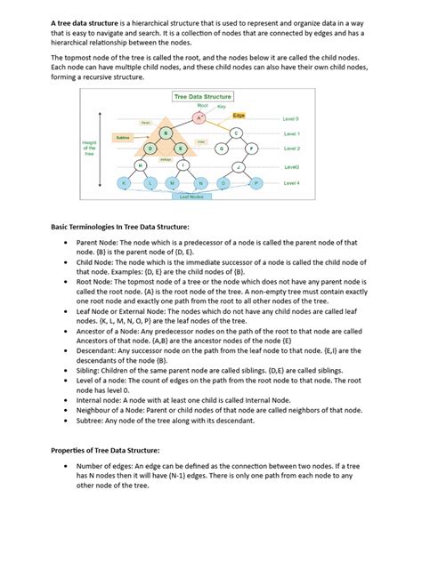 tree data structure pdf