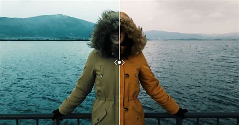 Wp Gallery Effect Code Canel