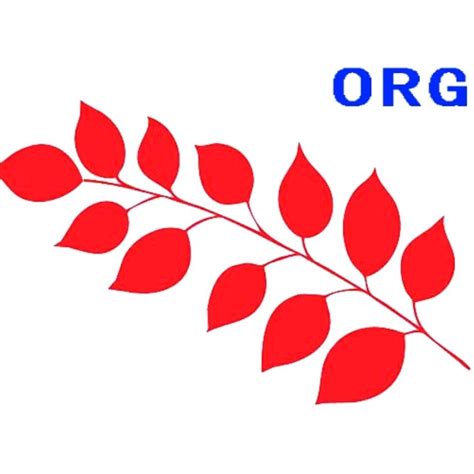 银杏分清公母很重要公树有前途母树没前途 行道树 栽培 树种
