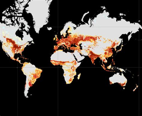 World Cropland Density Map Soar