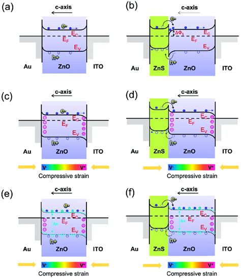 Energy Band Diagrams Of The Zno Nw And Znozns Coreshell Nw Devices