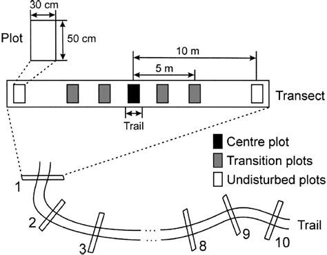 layout of the sampling method showing plot measures and positions in