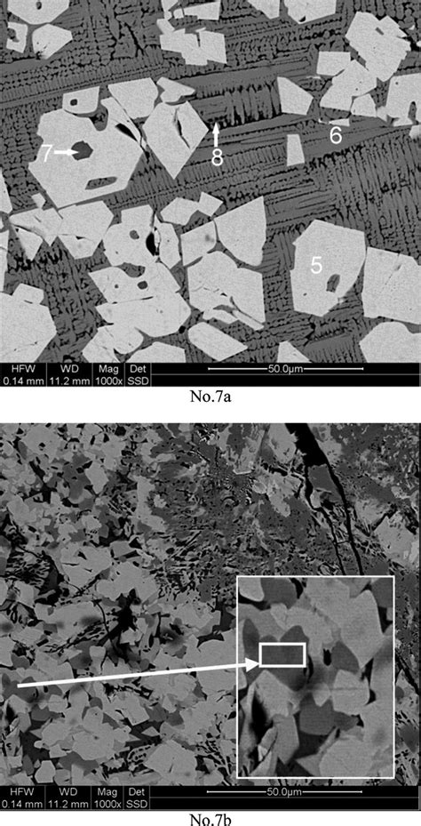 Microstructure Of Sinter Samples Download Scientific Diagram