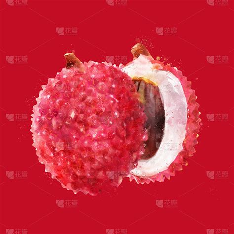 荔枝在红色背景上。水彩手绘插图