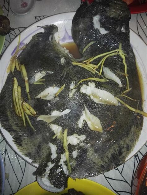 家常小菜——清蒸多寶魚做法 每日頭條