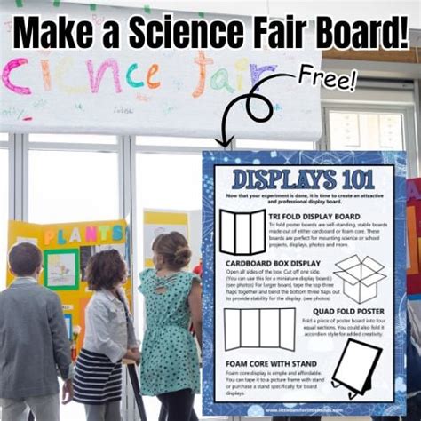 Elementary Science Fair Boards